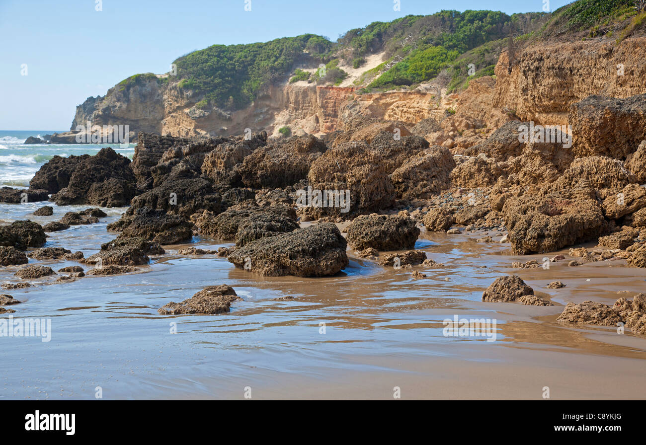 Indian river fish hi-res stock photography and images - Alamy