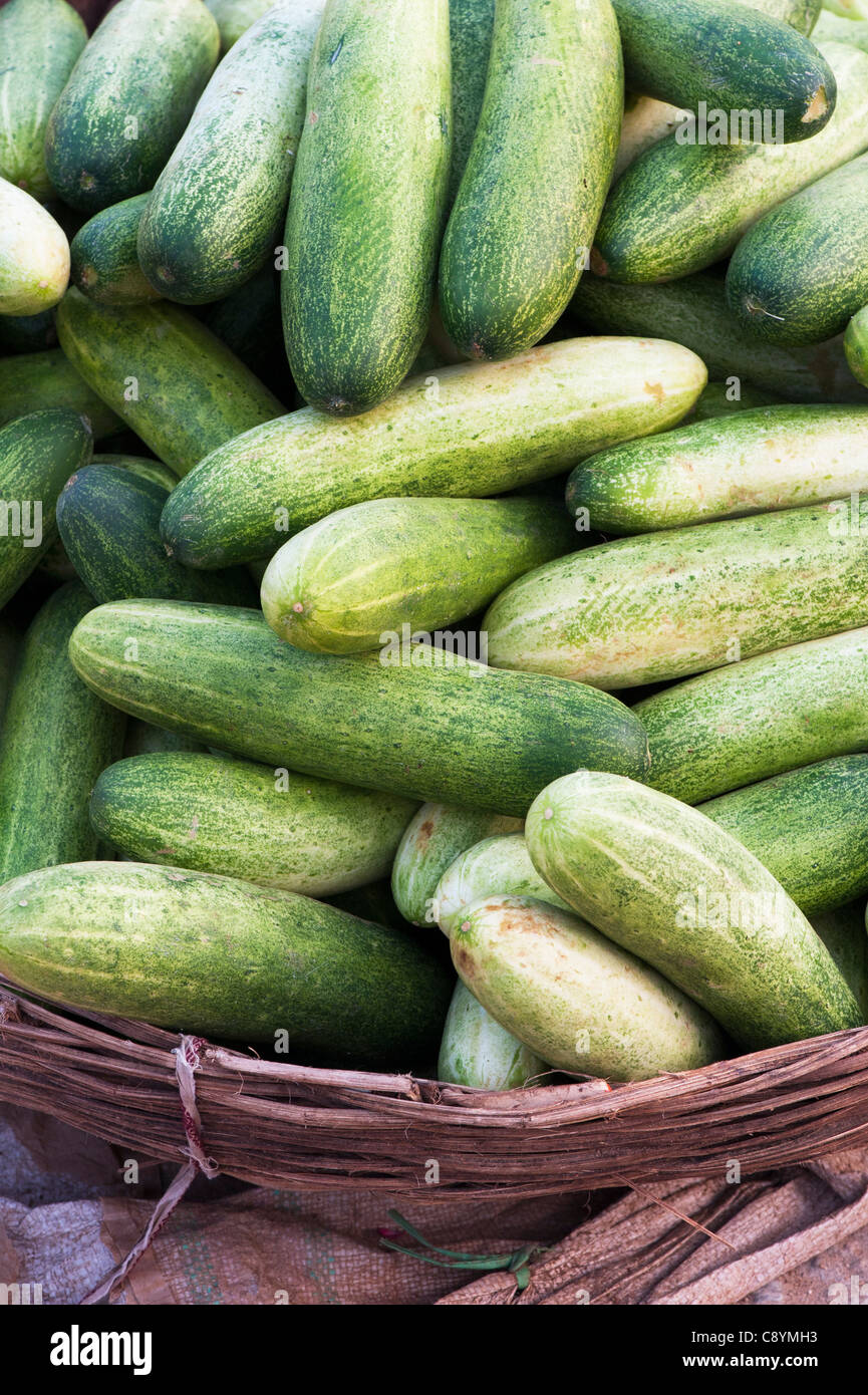 Indian cucumbers in a basket at an indian market. Andhra Pradesh, India ...