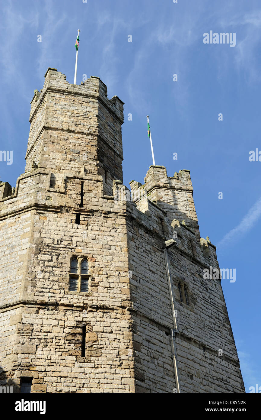 caernarfon medieval castle gwynedd north wales uk Stock Photo - Alamy