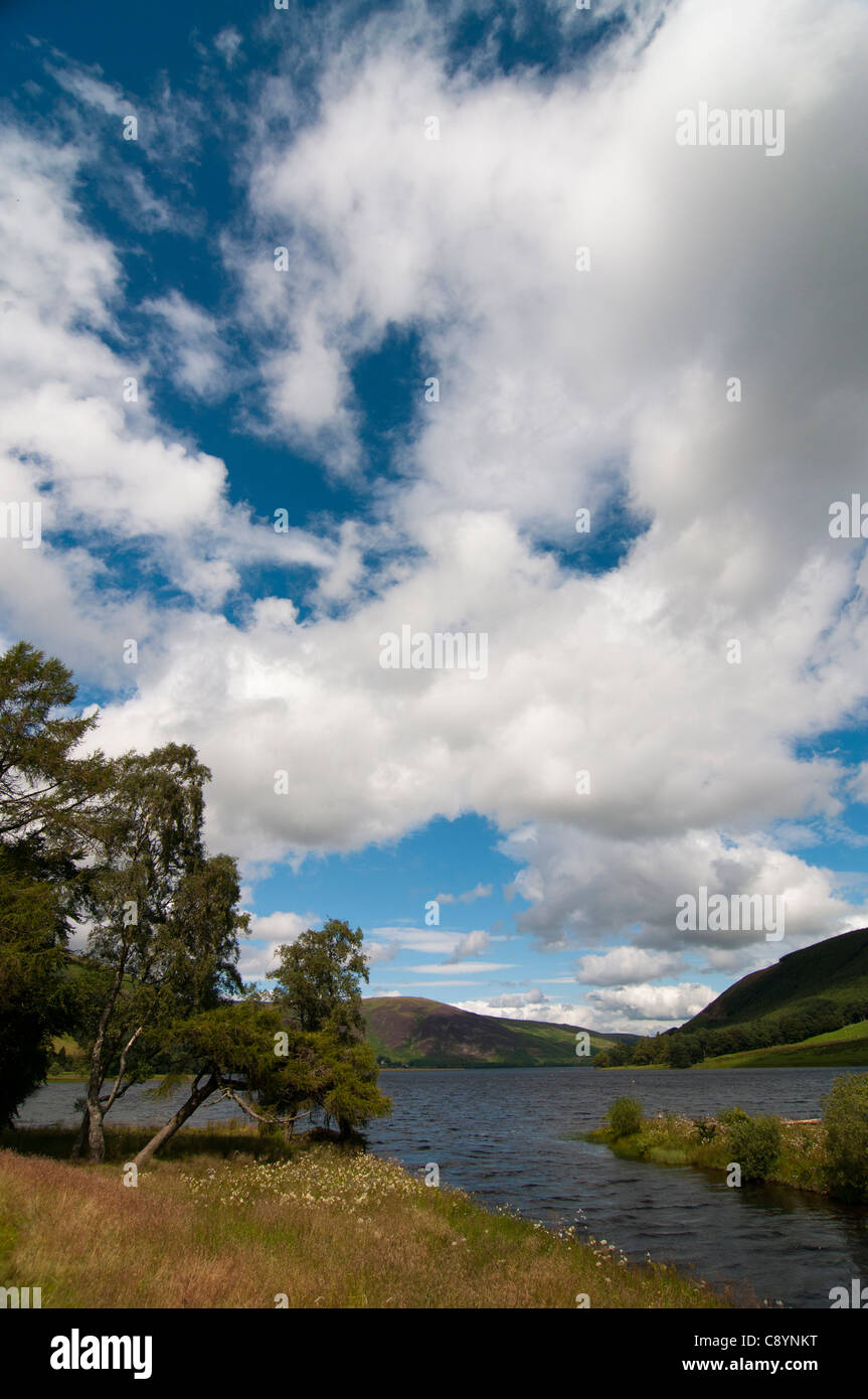 Looking north from the southern shore of St Mary's Loch Stock Photo - Alamy