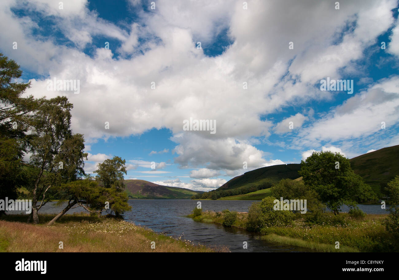 Looking north from the southern shore of St Mary's Loch Stock Photo - Alamy