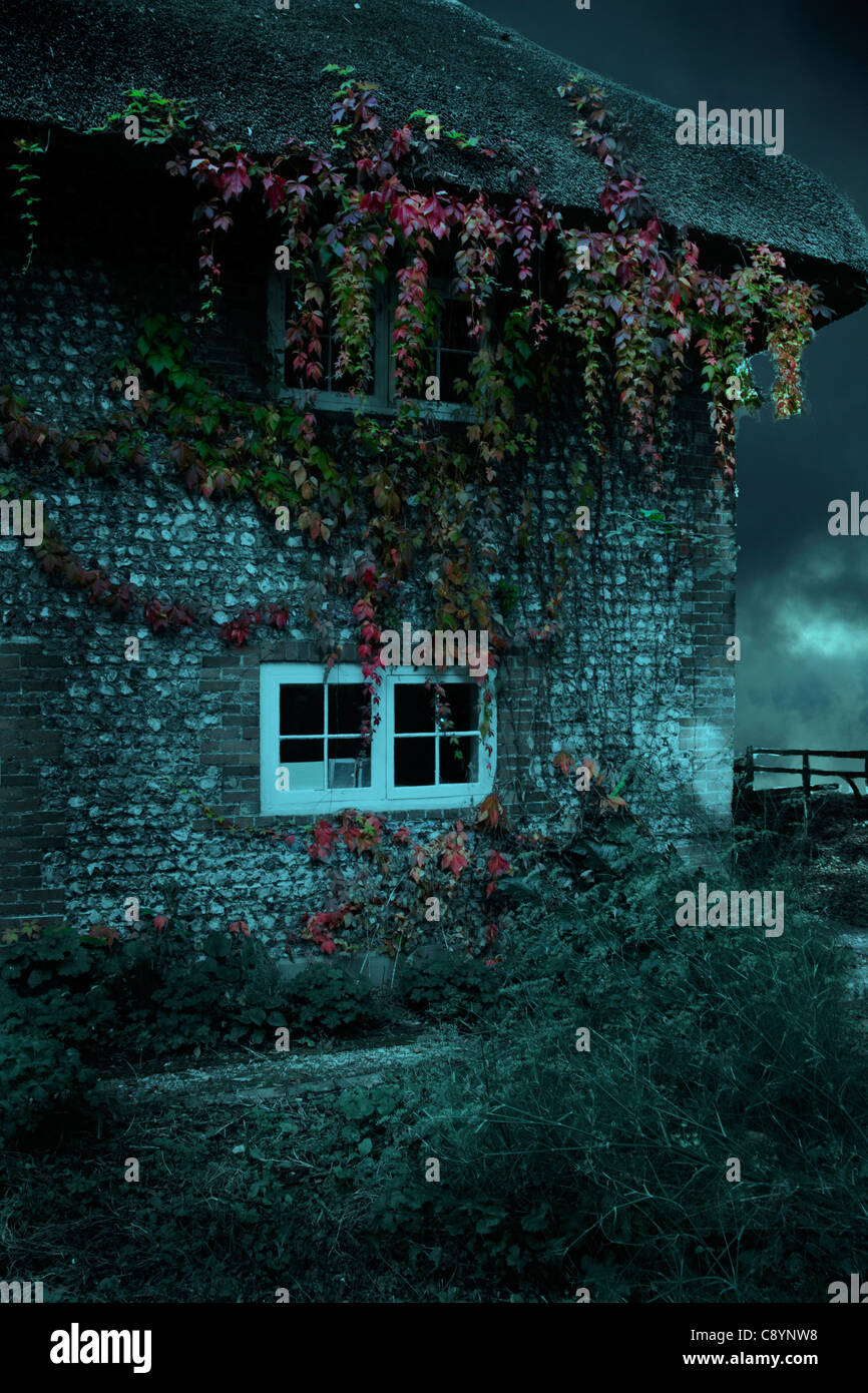 Creepers hi-res stock photography and images - Alamy