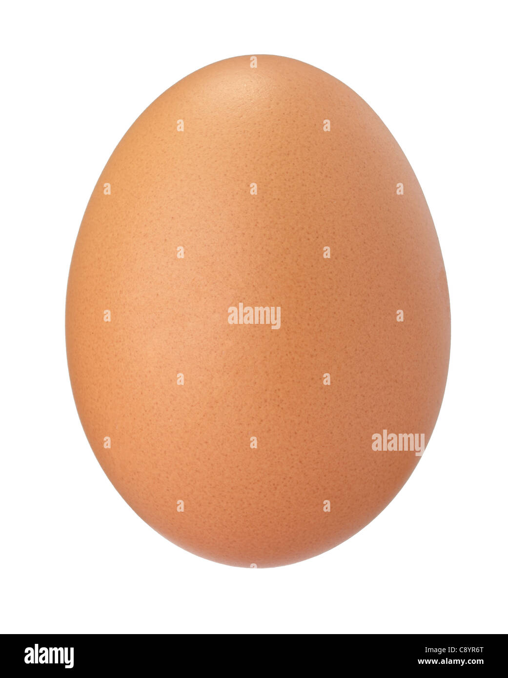 closeup of egg Stock Photo - Alamy