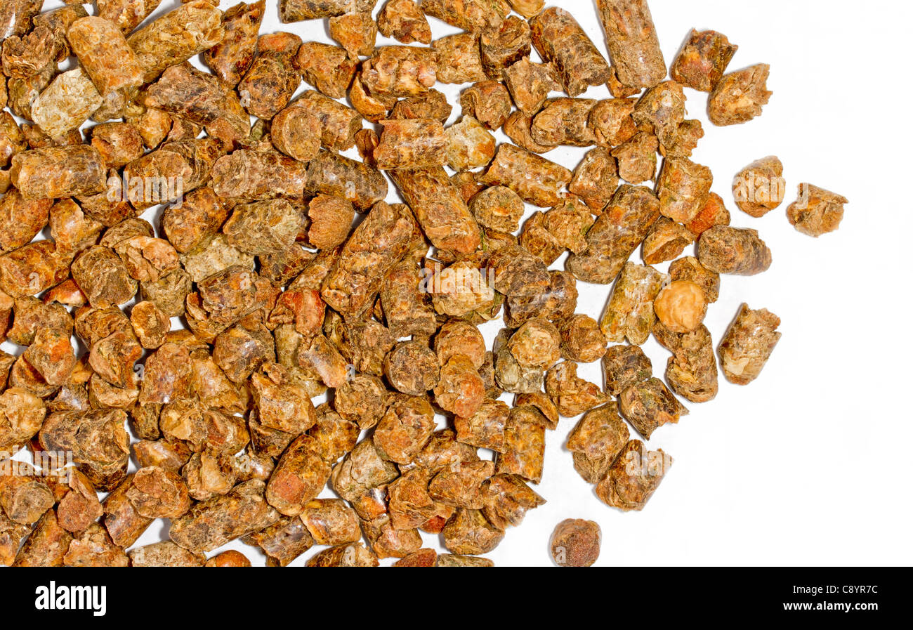 Citrus pulp pellets Stock Photo - Alamy