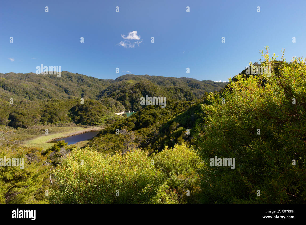 Anchor island new zealand hi-res stock photography and images - Alamy