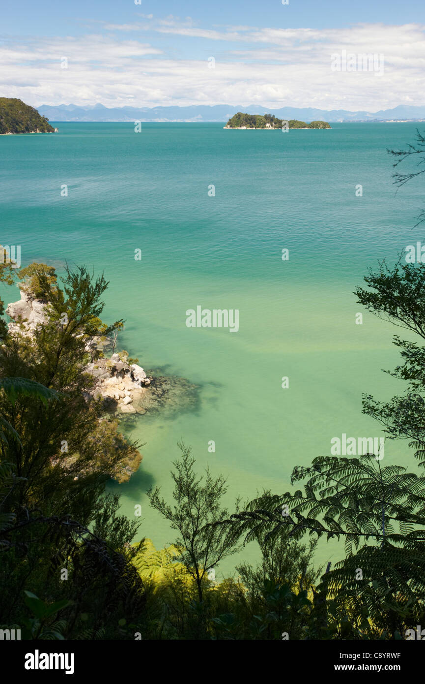 View of the shore line and Fisherman Island from Abel Tasman National ...