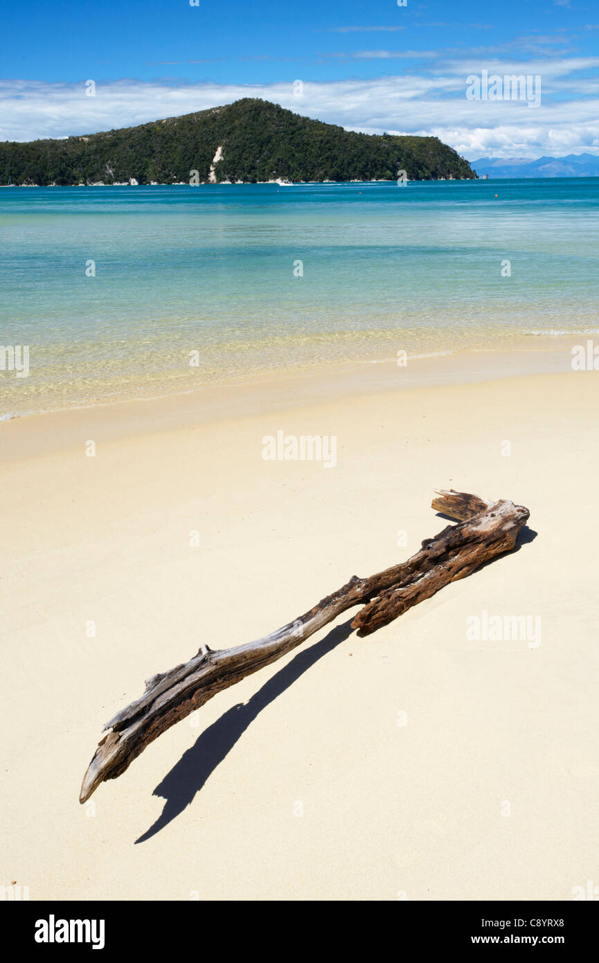 View of Adele Island from Apple Tree Bay, Abel Tasman National park ...