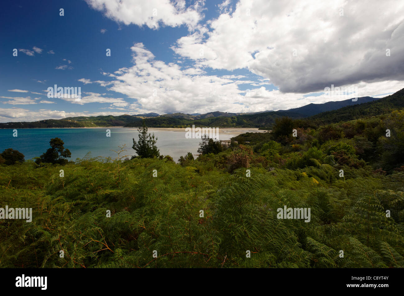 View of Sandy Bay, Abel Tasman National Park, South Island, New Zealand Stock Photo - Alamy