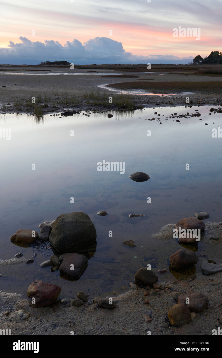 Sandy Bay at Sunrise, Abel Tasman National Park, South Island, New Zealand Stock Photo - Alamy