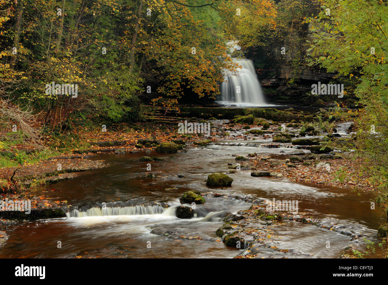 Autumn at Cauldron Force in West Burton, Yorkshire, England Stock Photo ...