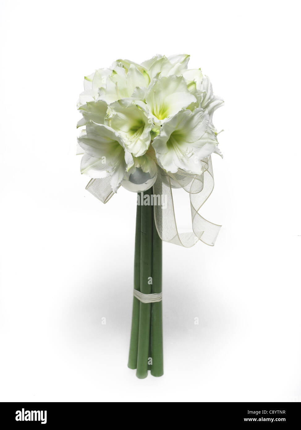 flower bouquet or plants with Christmas add ons Stock Photo - Alamy