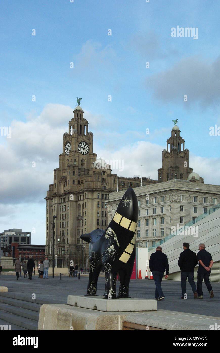 Royal Liver Building, Liverpool - seen from the promenade on the River ...