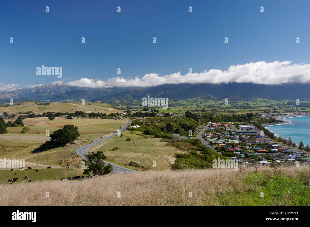 Esplanade, Kaikoura, South Island, New Zealand Stock Photo - Alamy
