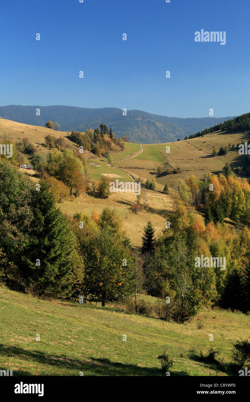 Zazriva koncita hi-res stock photography and images - Alamy