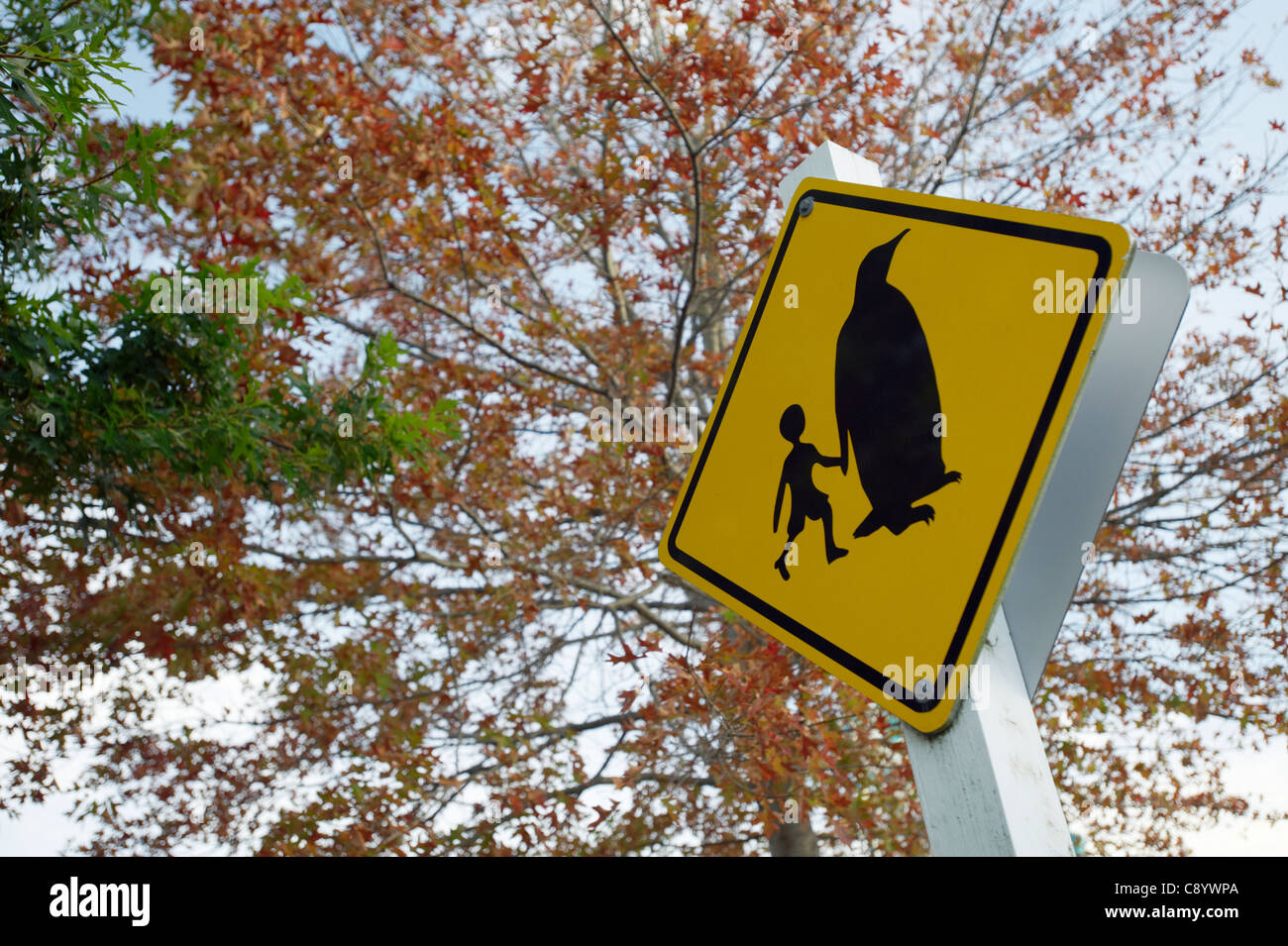 Funny Road Signs High Resolution Stock Photography and Images - Alamy