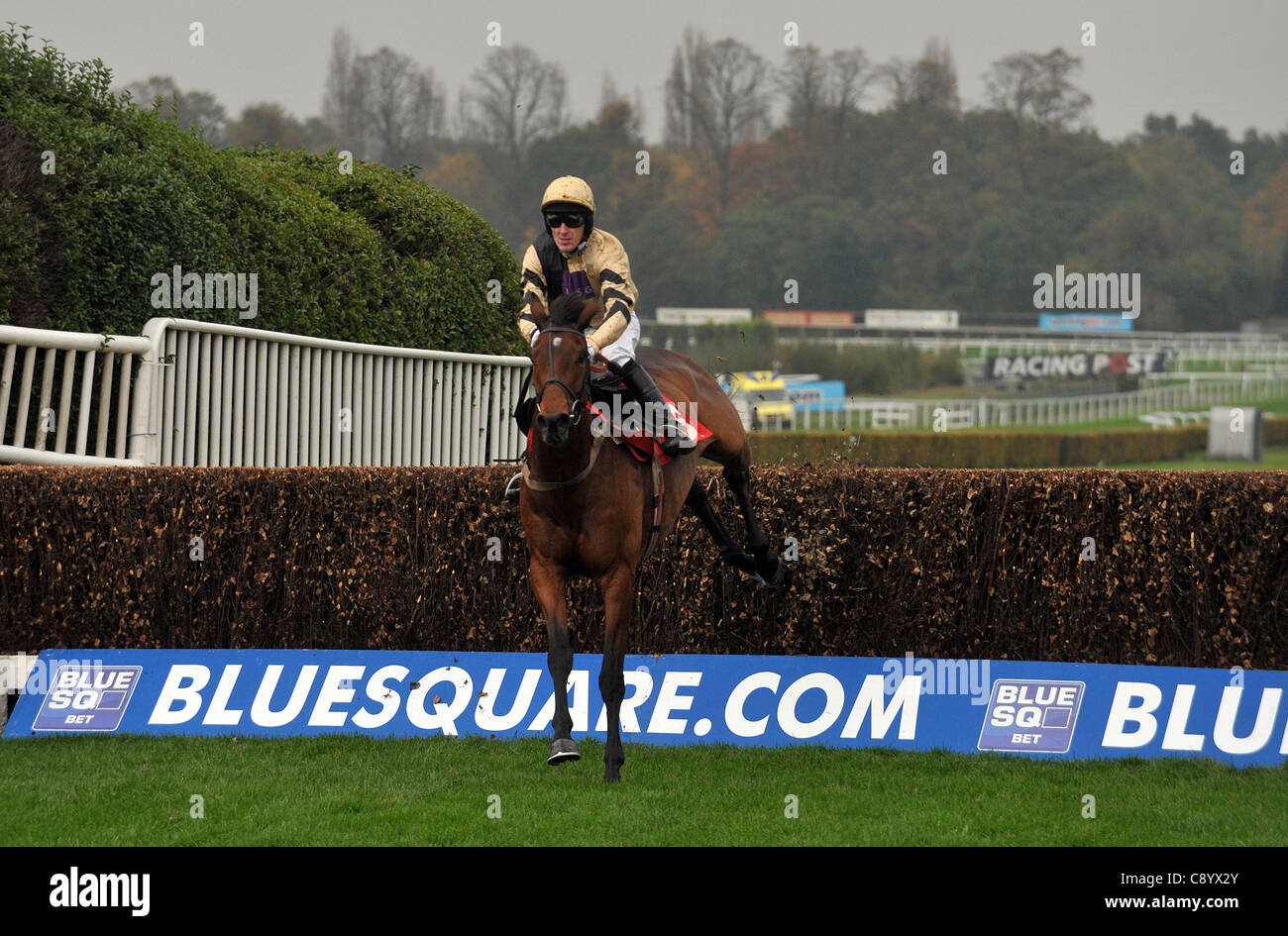 Open ditch racecourse hi-res stock photography and images - Alamy
