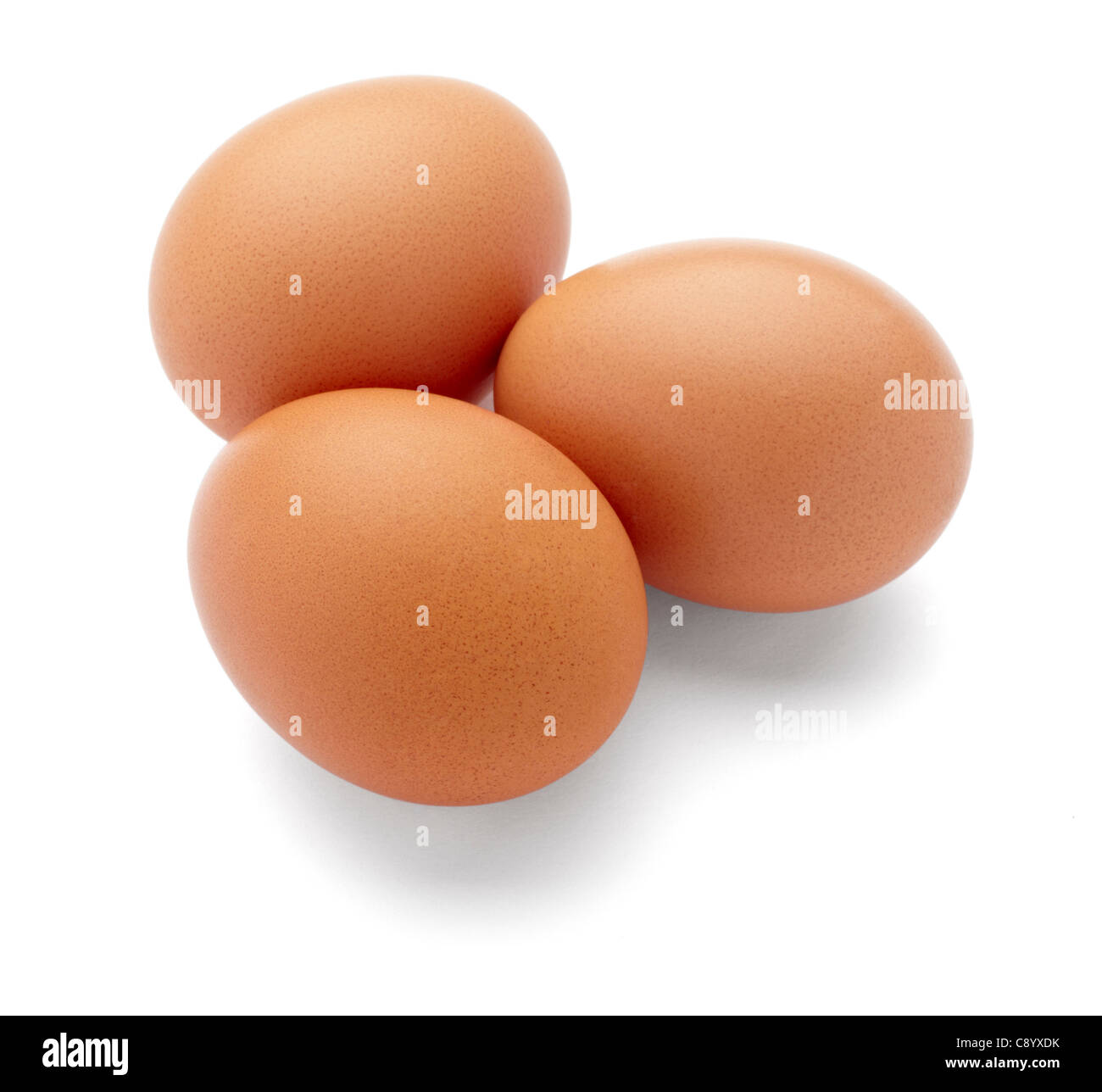 close up of an egg Stock Photo - Alamy