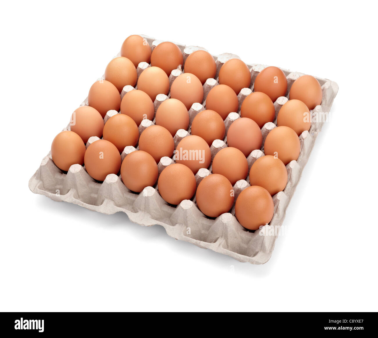 close up of an egg Stock Photo - Alamy