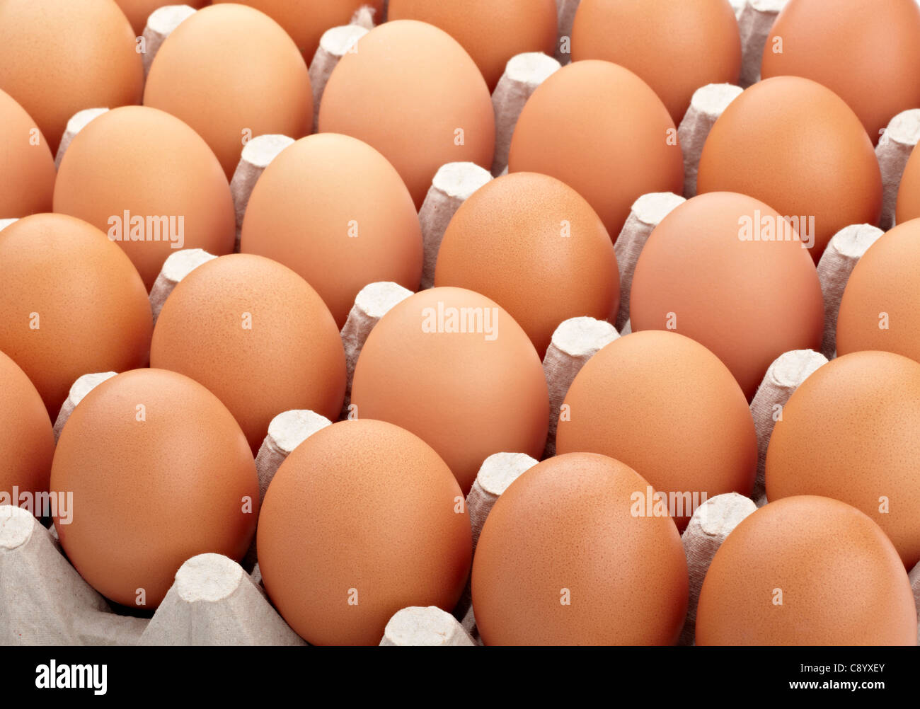 close up of an egg Stock Photo - Alamy