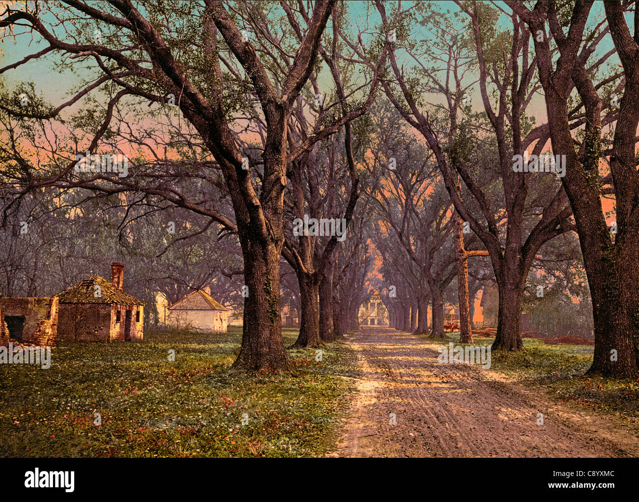 The Hermitage, Savannah, Georgia, circa 1900 Stock Photo - Alamy