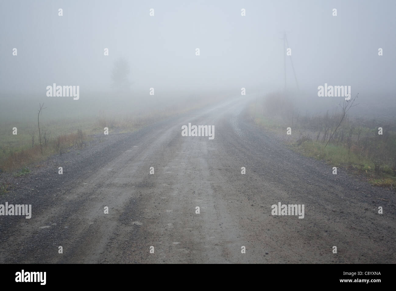 Road disappearing into the mist hi-res stock photography and images - Alamy