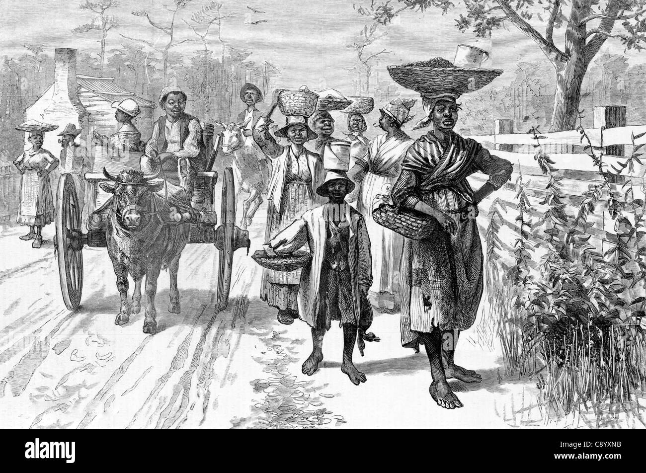 Going to market - a scene near Savannah, Georgia, circa 1875 Stock ...