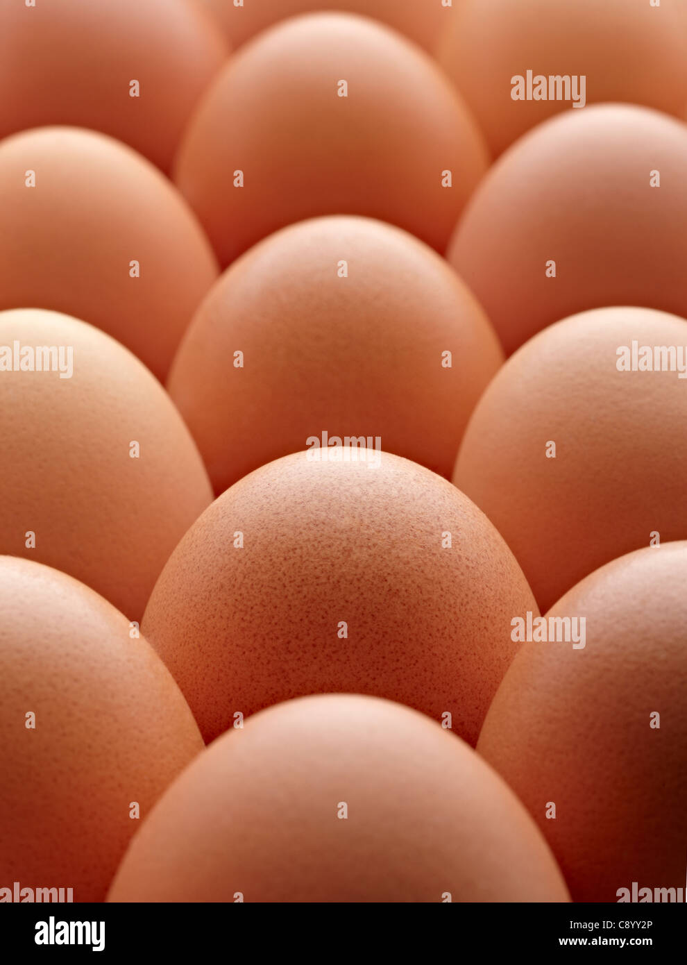 closeup of egg Stock Photo - Alamy