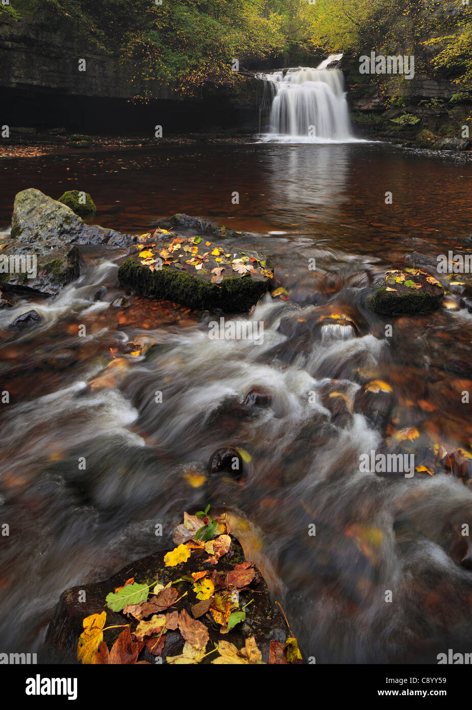 Autumn at Cauldron Force in West Burton, Yorkshire, England Stock Photo ...