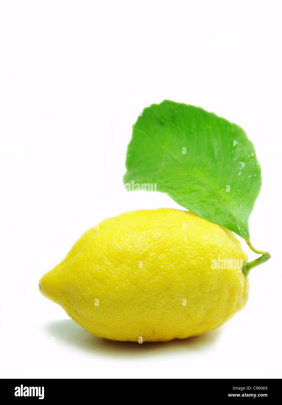 Waxed Lemon High Resolution Stock Photography and Images - Alamy