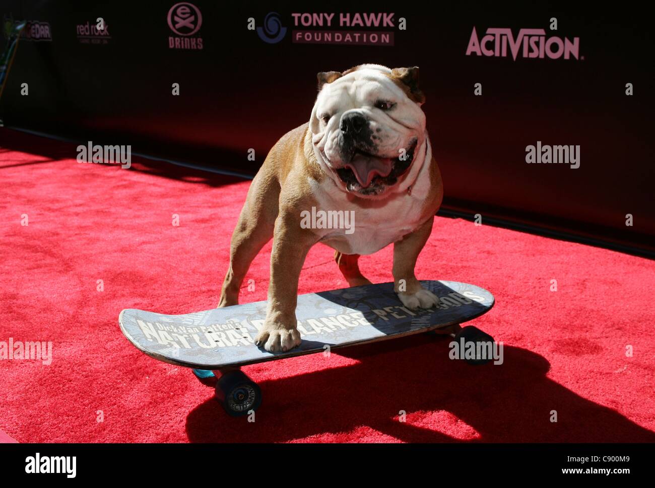 Tillman the Skateboarding Dog at a public appearance for 3rd Annual ...