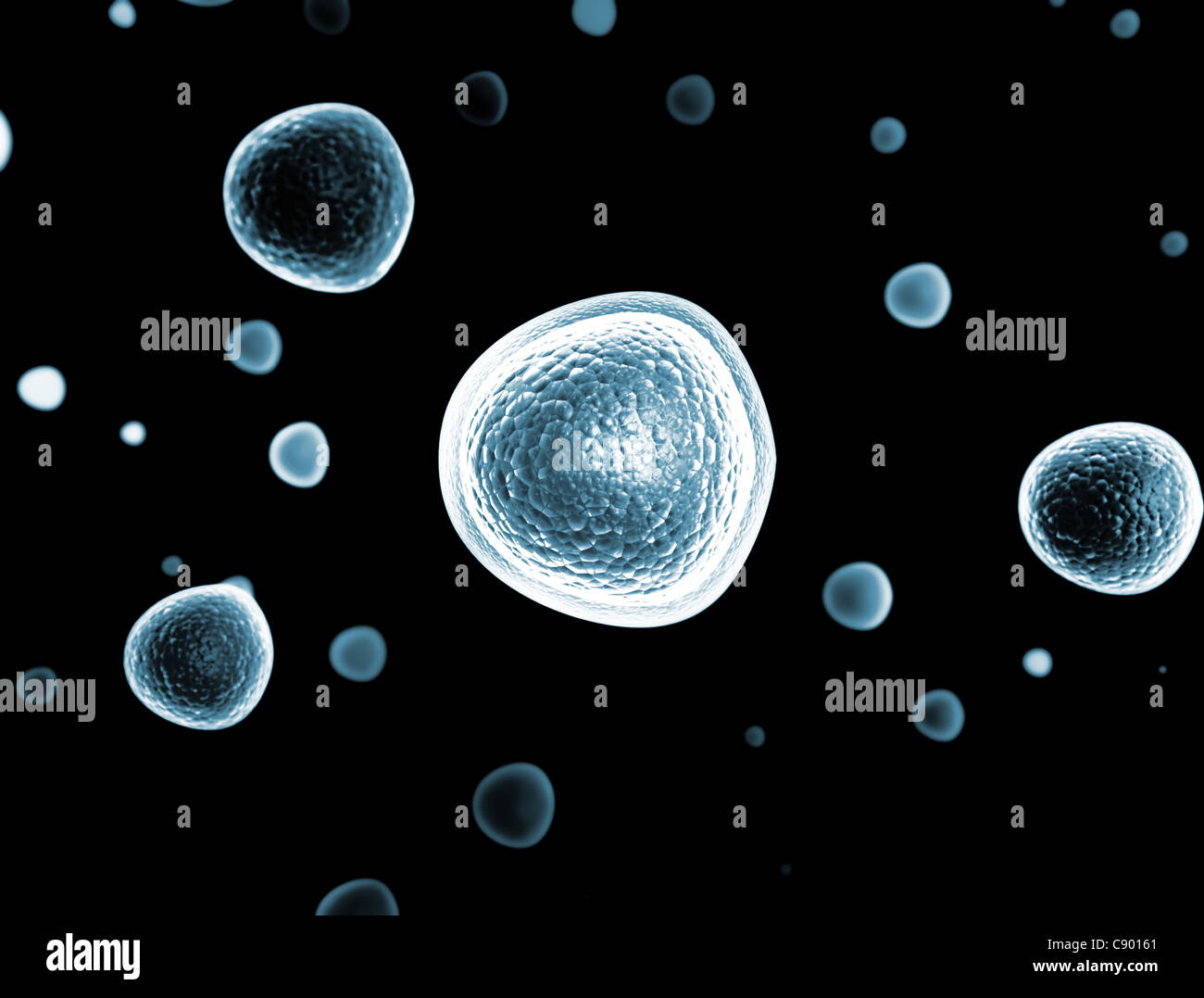 Dark blue virus cells Stock Photo - Alamy