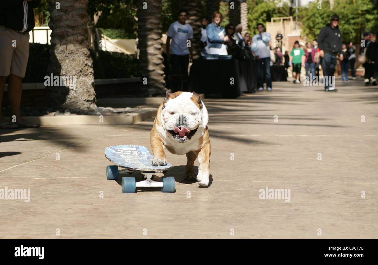 Tony hawk skateboarding hi-res stock photography and images - Alamy