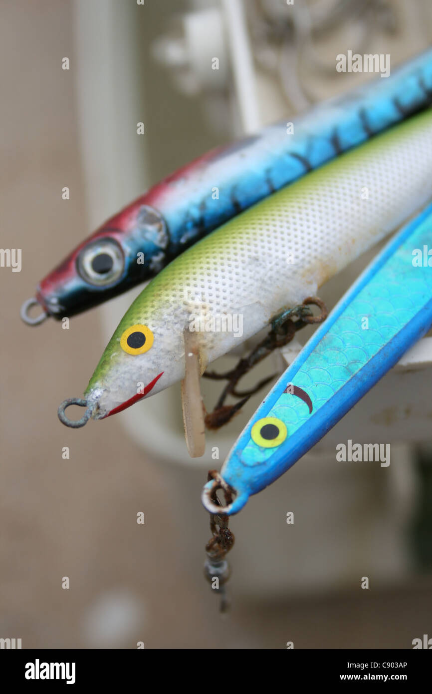 Blue thread fish hi-res stock photography and images - Alamy