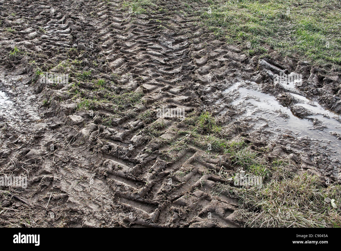 Tractor Tracks in Mud Stock Photo - Alamy