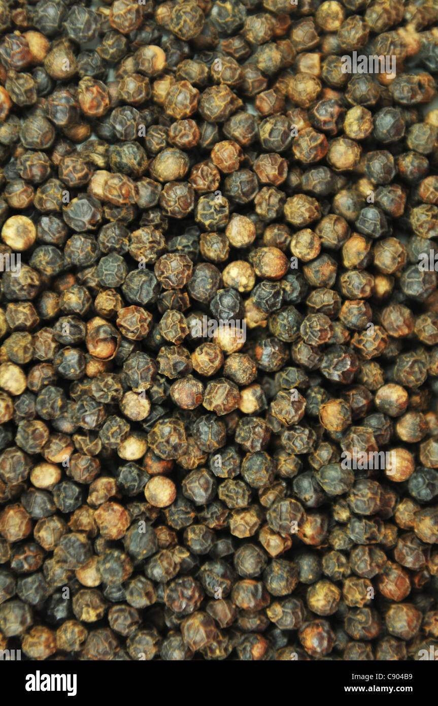 Grain peppers ground pepper hi-res stock photography and images - Alamy