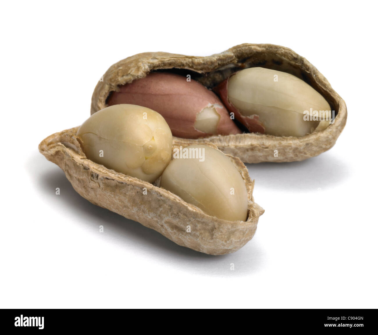 studio photography of two half peeled peanuts in white back Stock Photo ...