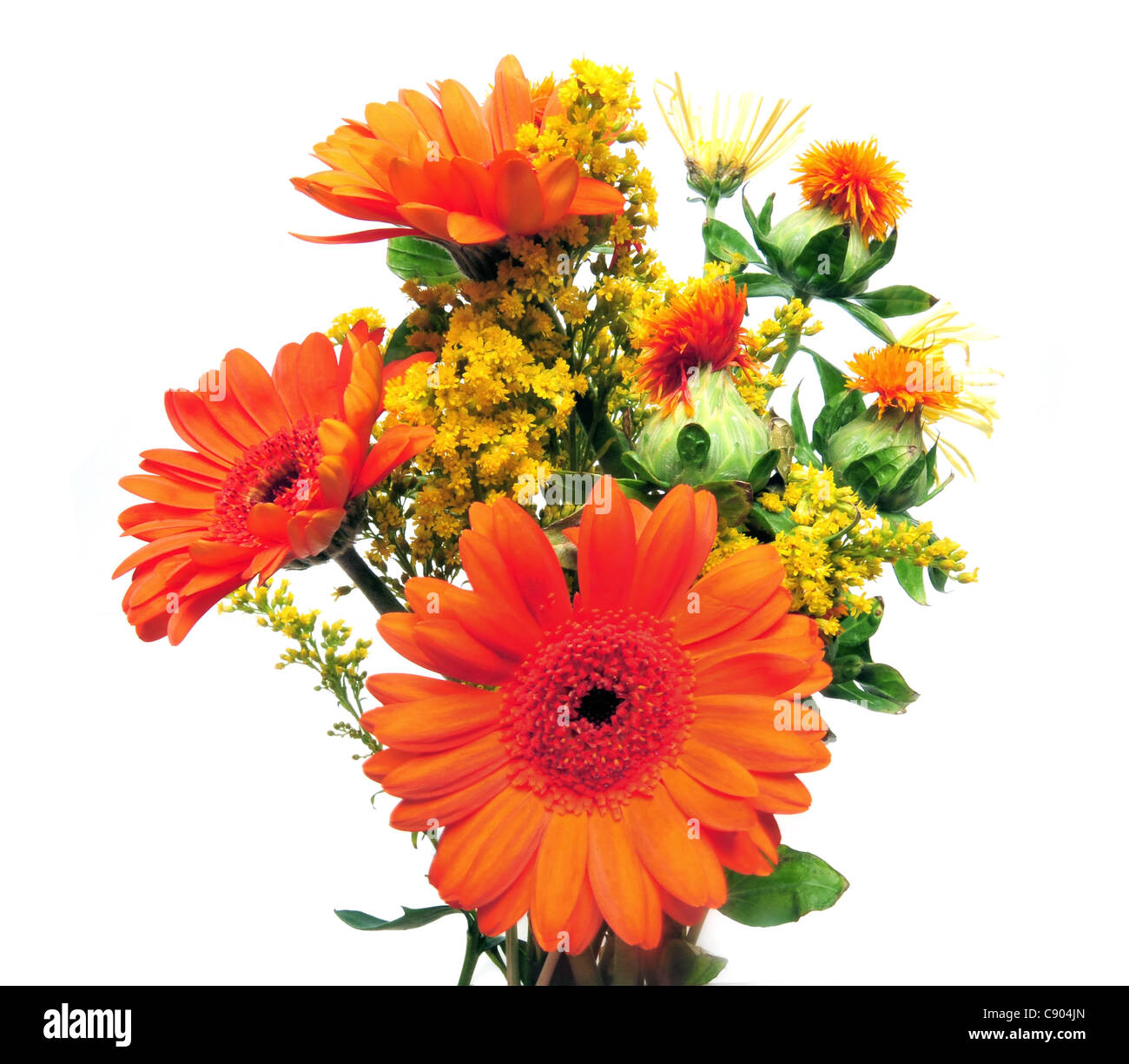 Bouquet of multicolored fresh summer flowers over white background ...