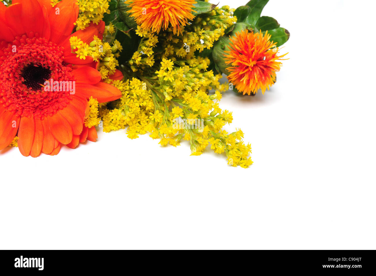 Bouquet of multicolored fresh summer flowers over white background ...