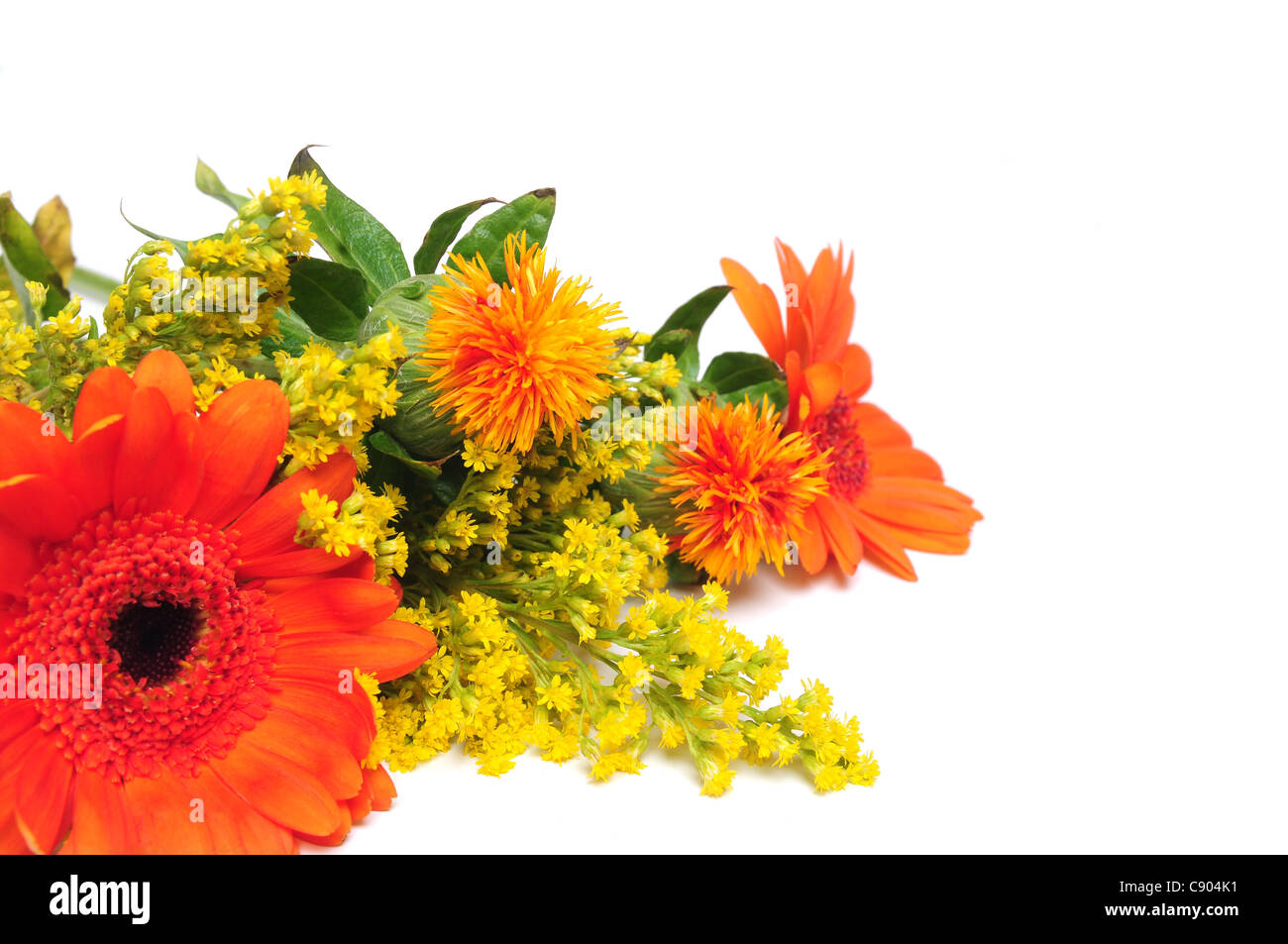 Bouquet of multicolored fresh summer flowers over white background ...