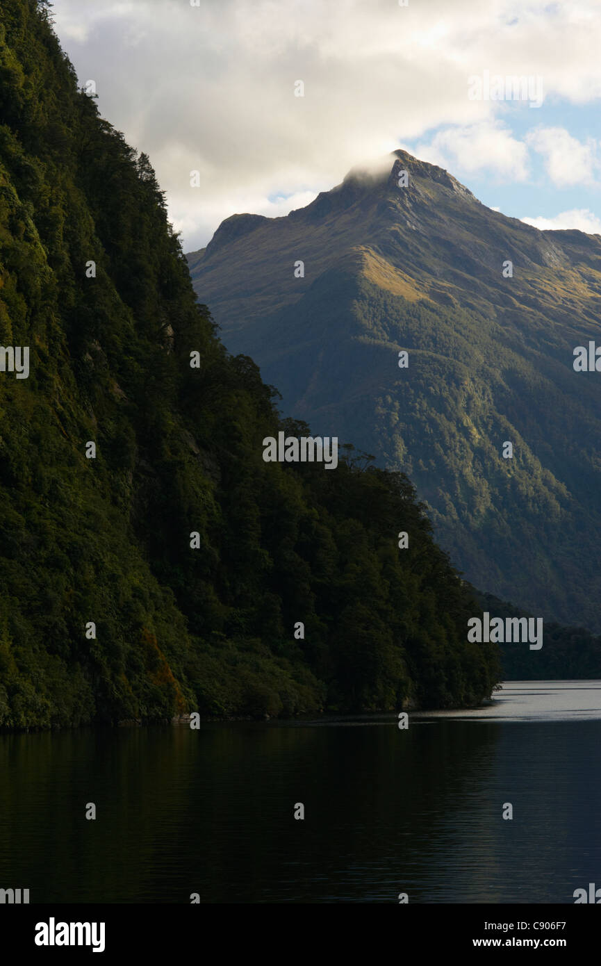 Wilderness on steep rugged mountains of Doubtful Sound, Fiordland ...