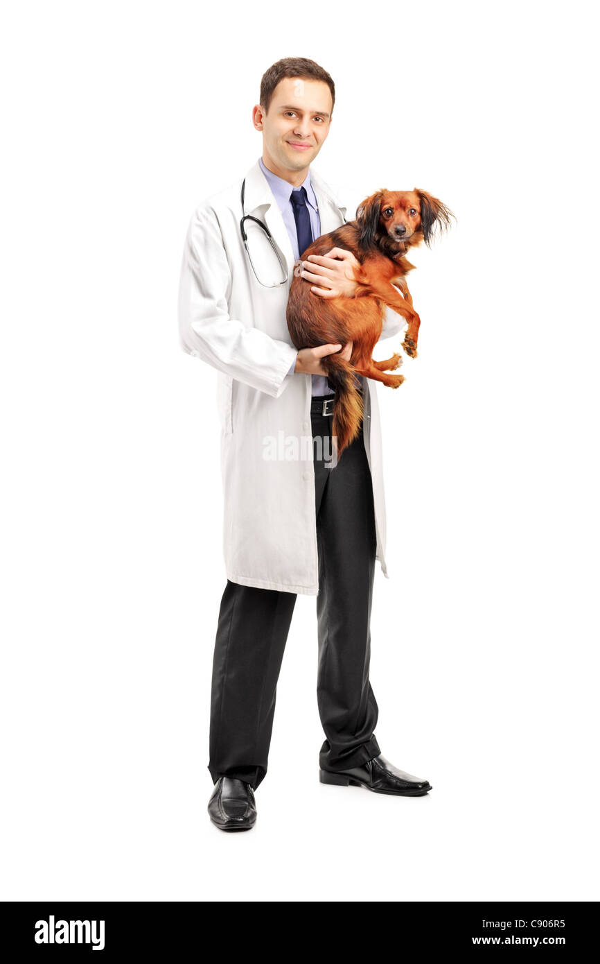Full length portrait of a smiling veterinarian holding a puppy Stock ...