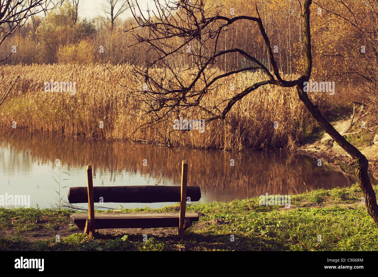 Bench pond hi-res stock photography and images - Alamy