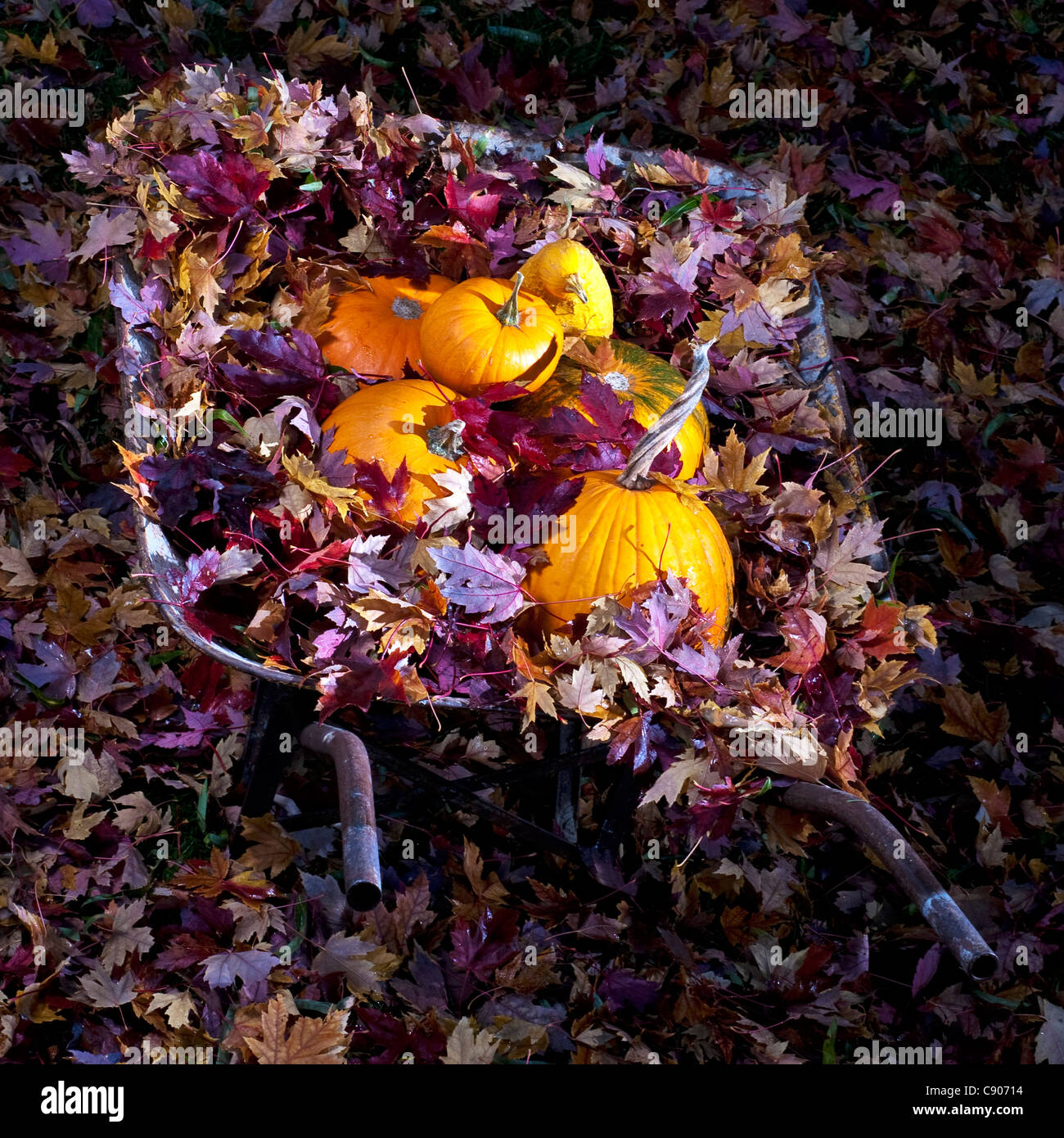 This Autumn Wheel Barrel has some seasonal pumpkins and fall leaves in ...