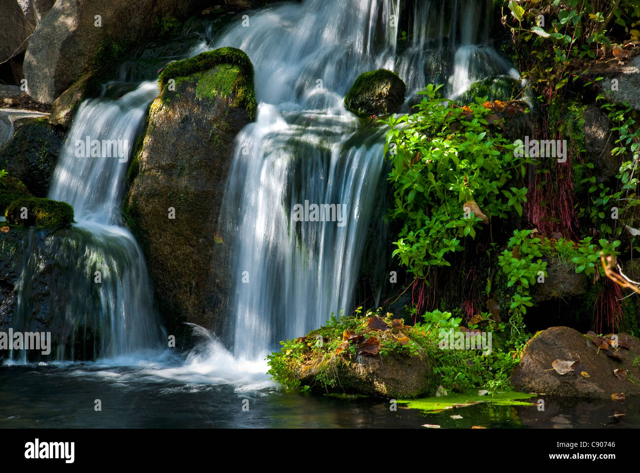 Little Waterfall flows into a small pond Stock Photo - Alamy