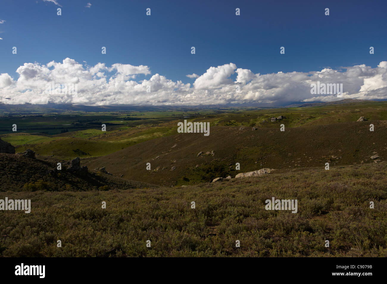 Maniototo hi-res stock photography and images - Alamy