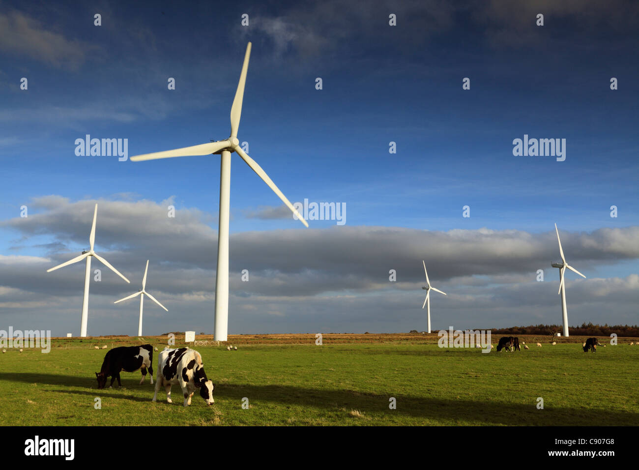 Giant wind turbines on Knabs Ridge Wind Farm near Harrogate, Yorkshire ...
