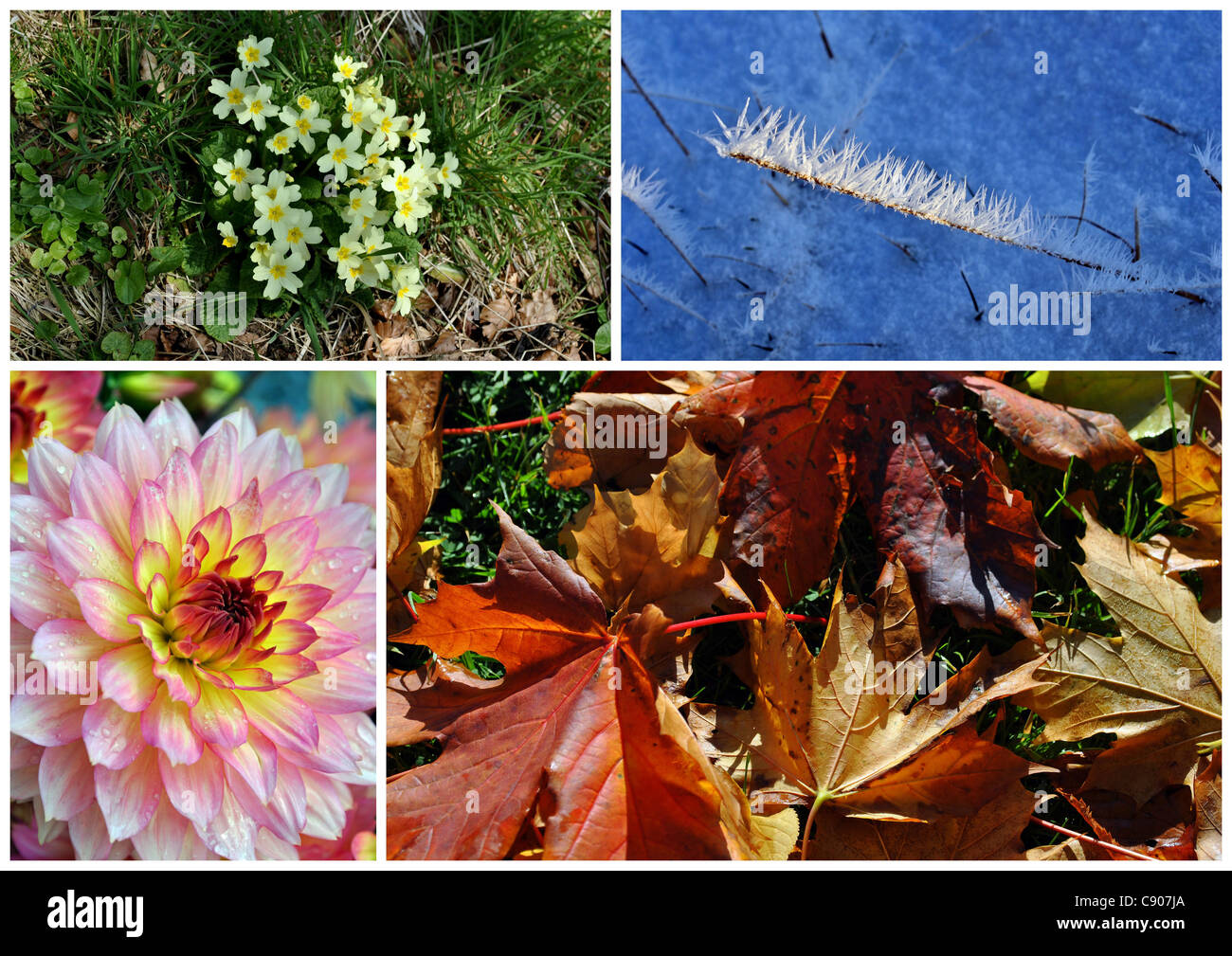 Seasons collage hi-res stock photography and images - Alamy