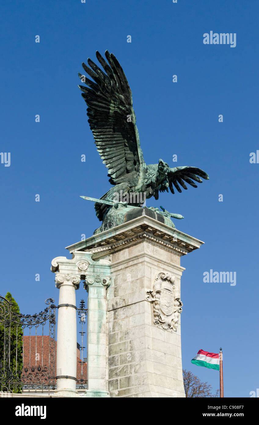 Turul bird hi-res stock photography and images - Alamy