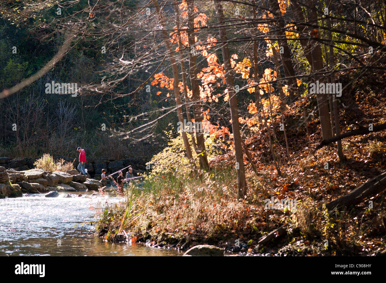 Stream fall colors hi-res stock photography and images - Alamy
