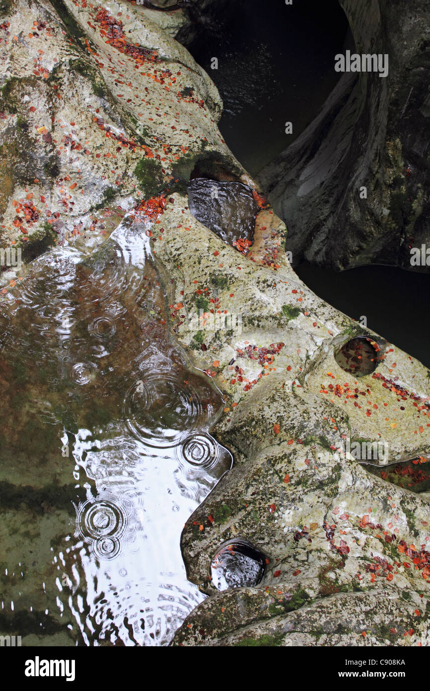 The Devil's Bridge Gorge or Les Gorges du Pont du Diable carved out by ...
